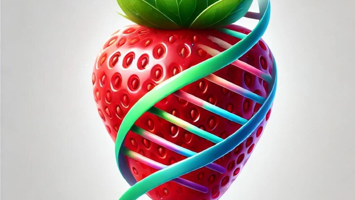 Strawberry DNA Extraction! | ASU Open Door